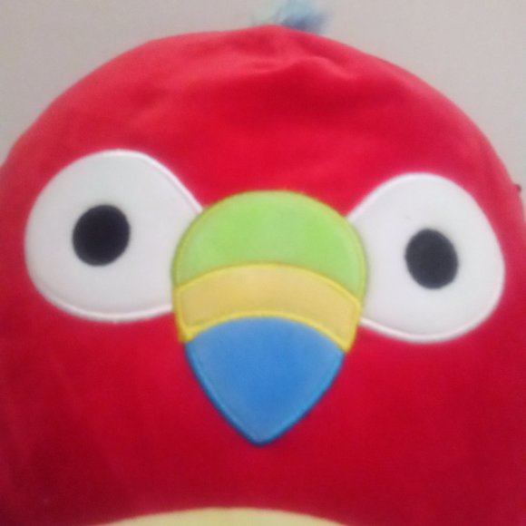 Squishmallows | Toys | Squishmallows Paco The Parrot 6 | Poshmark